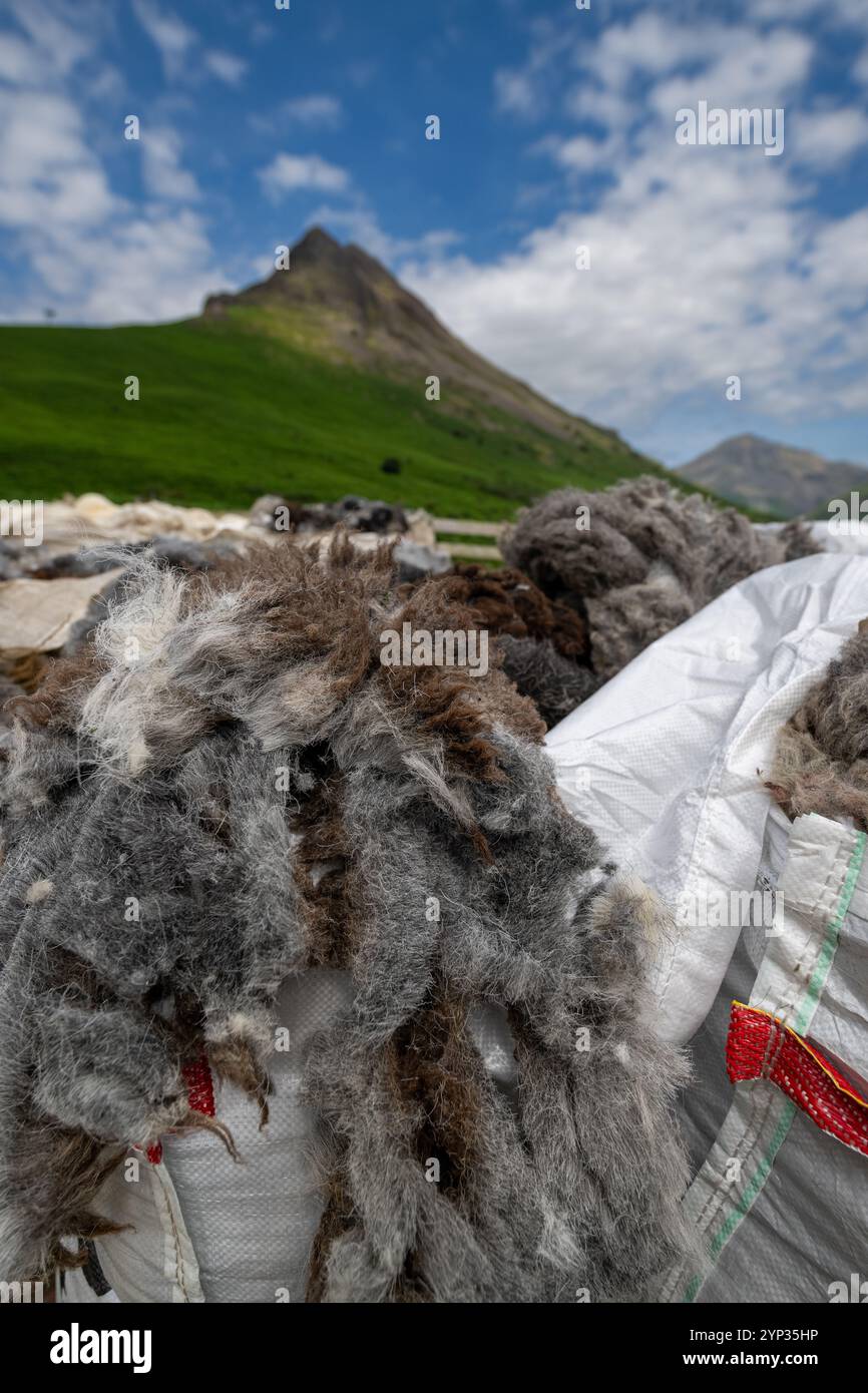 Bagged wool hi-res stock photography and images - Alamy