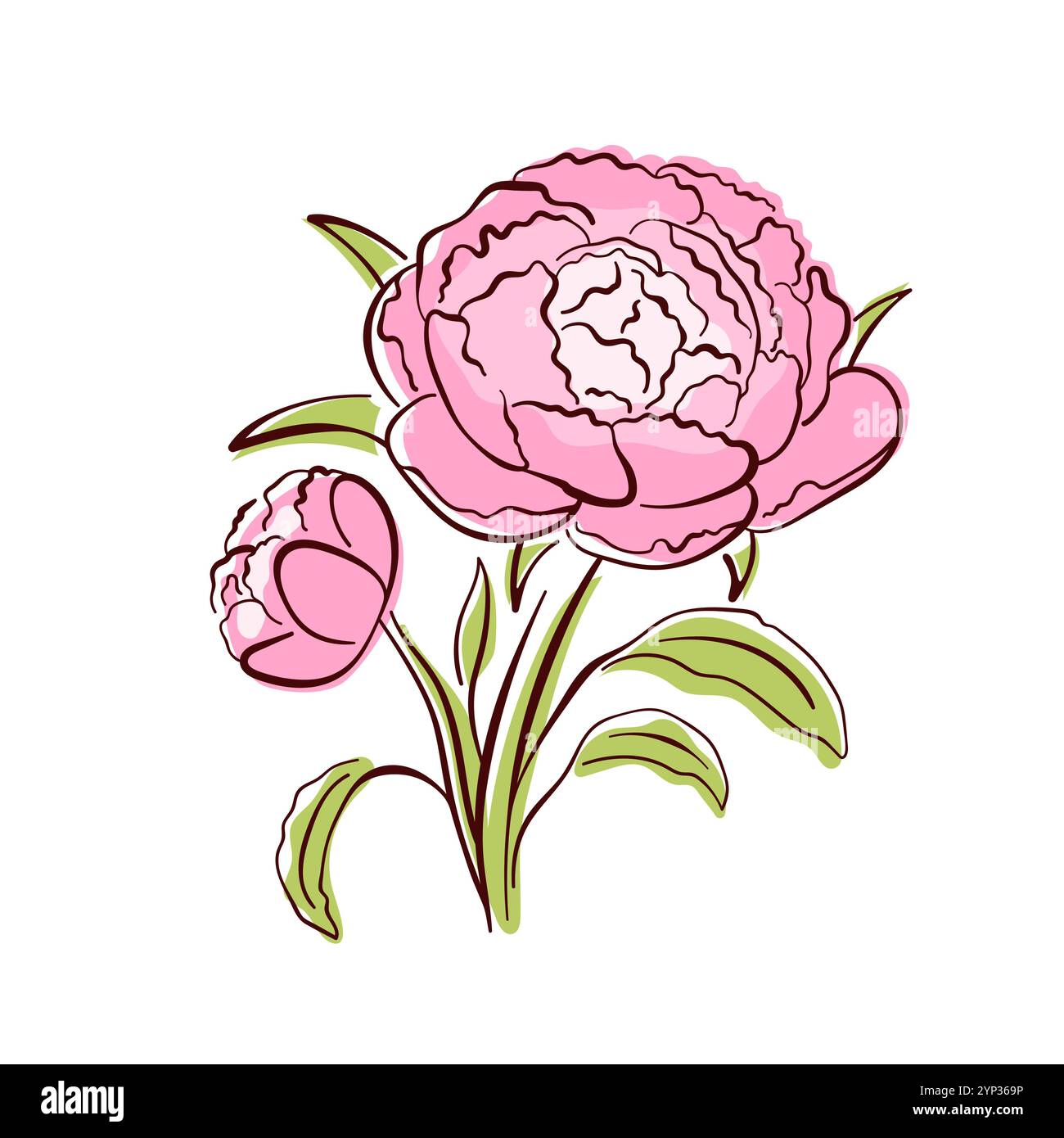 Elegant green peony leaves Stock Vector Images - Alamy