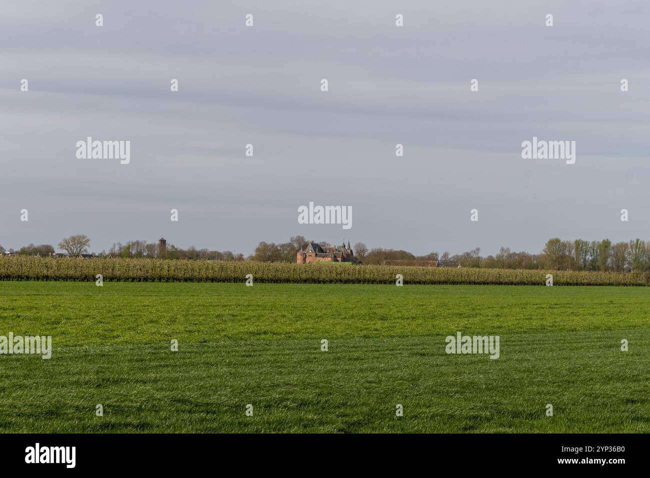 Dutch countryside landscape with castle, apple fruit trees orchards and ...