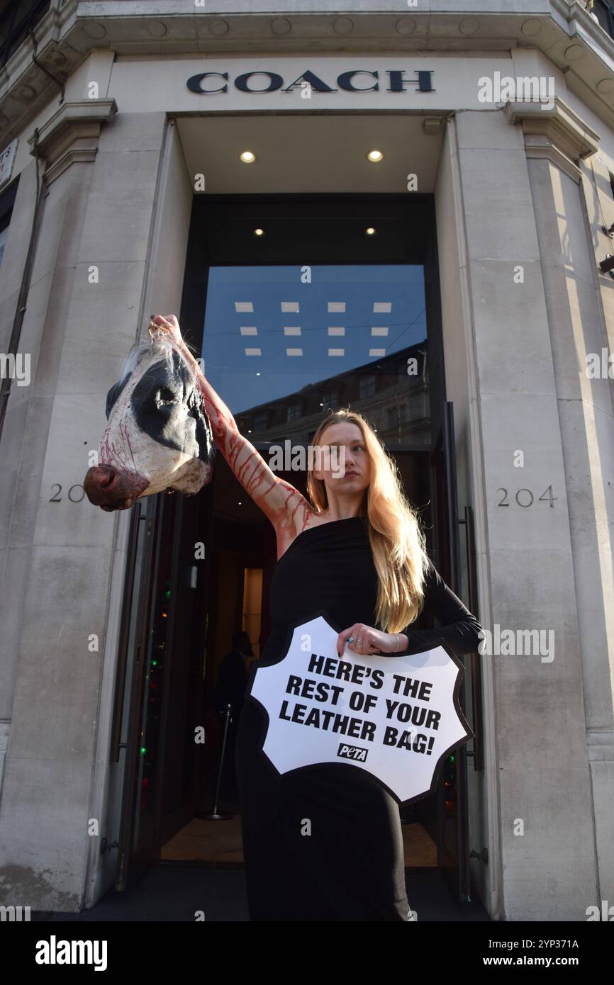 London, England, UK. 28th Nov, 2024. A PETA activist stands outside the ...