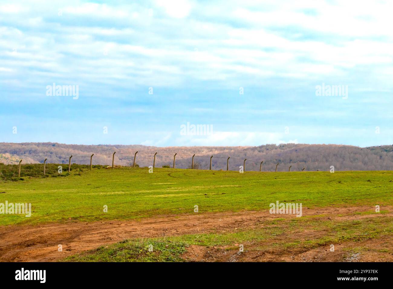 Green meadows, blue sky and garden fences. Countryside, rural ...