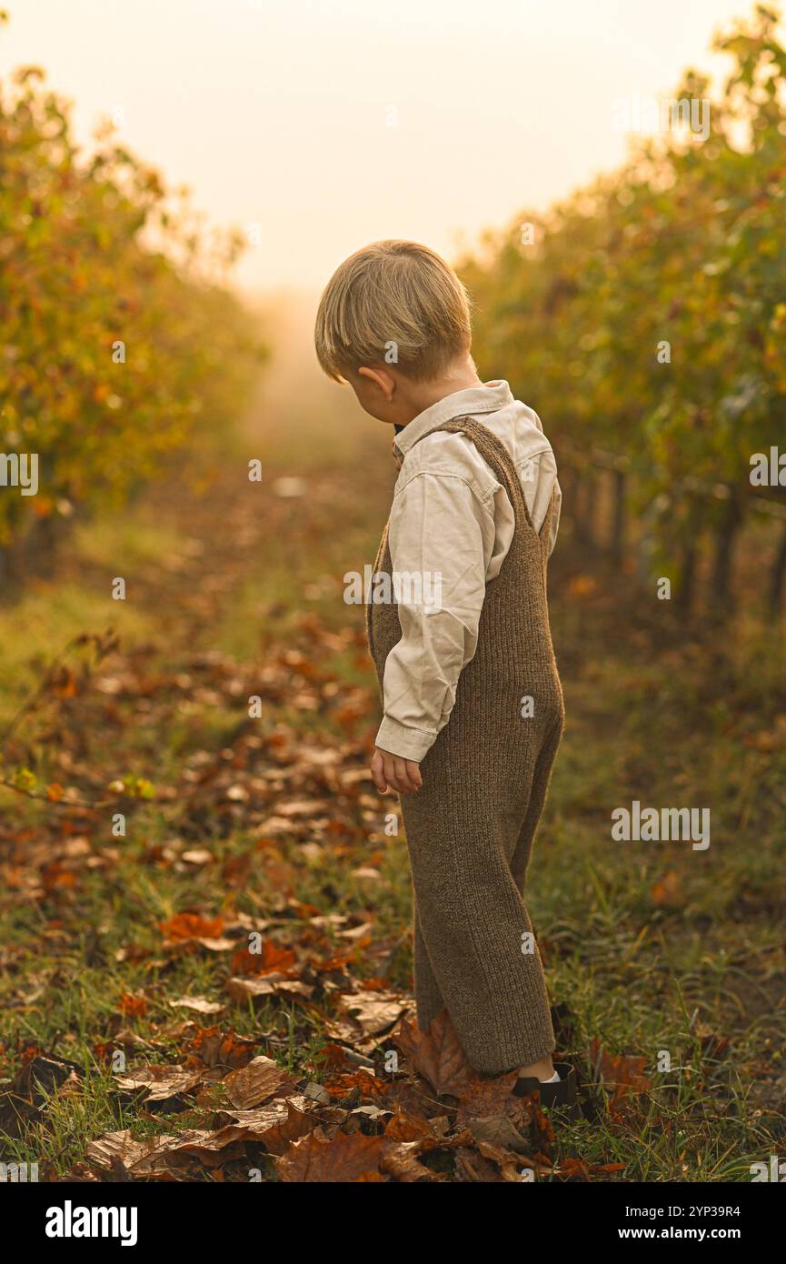 kid exploring a vineyard Stock Photo - Alamy