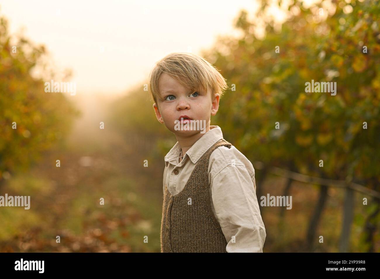 kid exploring a vineyard Stock Photo - Alamy