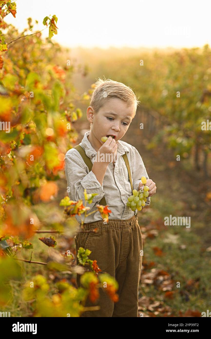kids with grape on a vineyard Stock Photo - Alamy