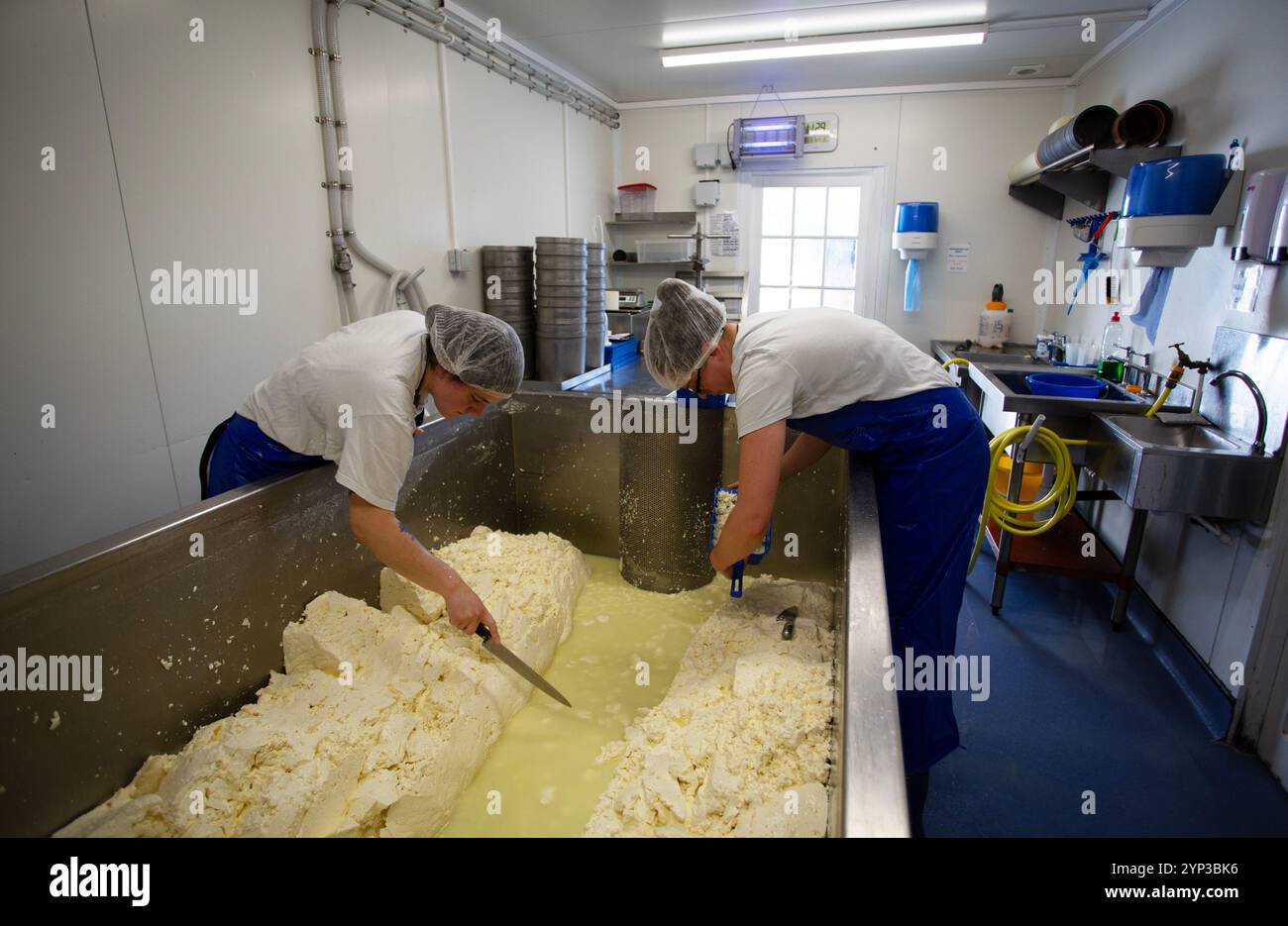 Samantha Spence and fellow worker Mel Fox draining and chopping the ...