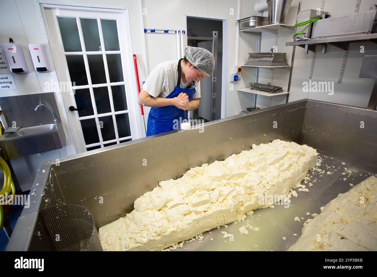 Employee Mel Fox during the cheese making process at Curlew Dairy in ...