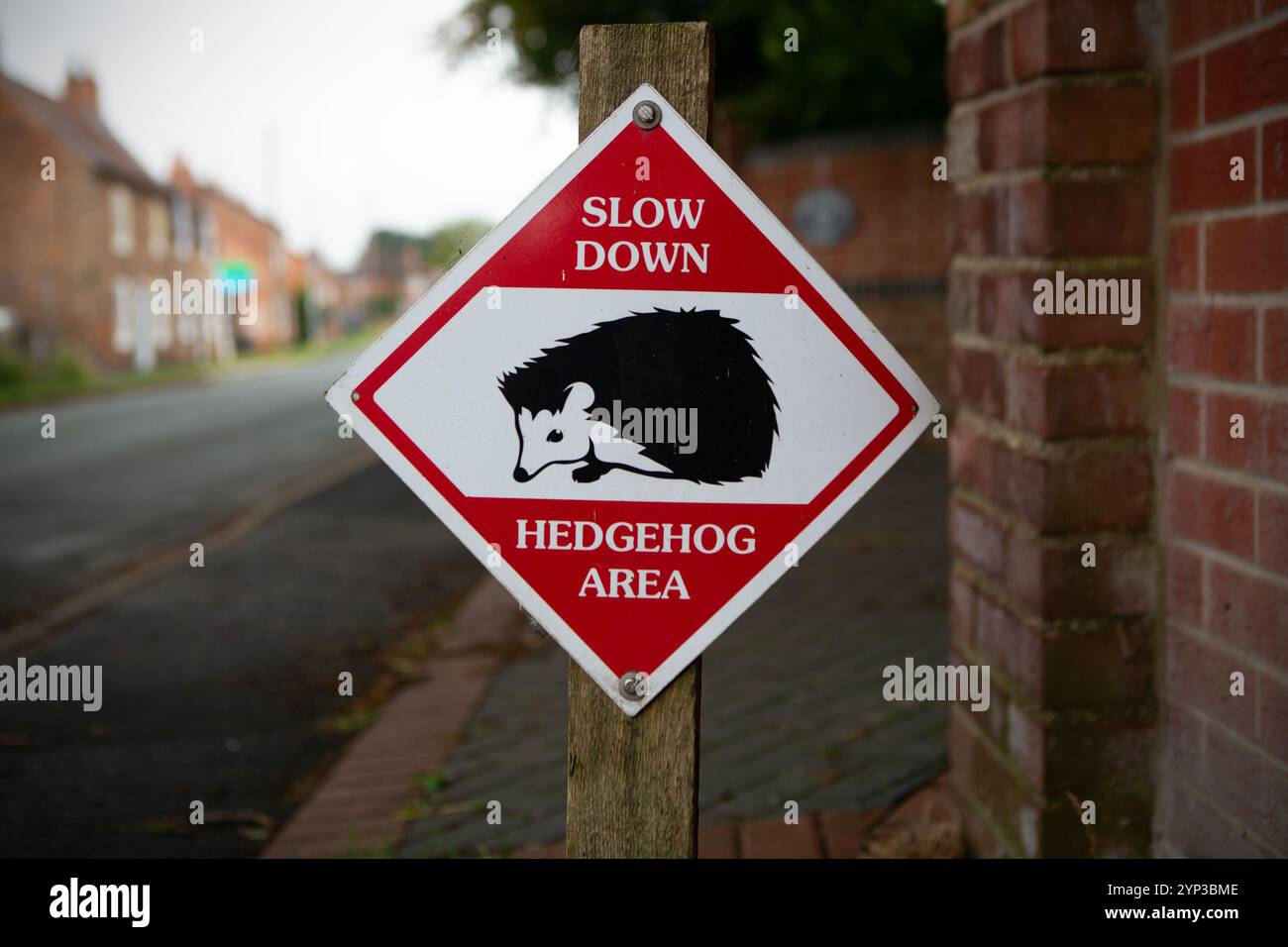 A 'Slow Down, Hedgehog area' sign in the tiny village of Shiptonthorpe ...