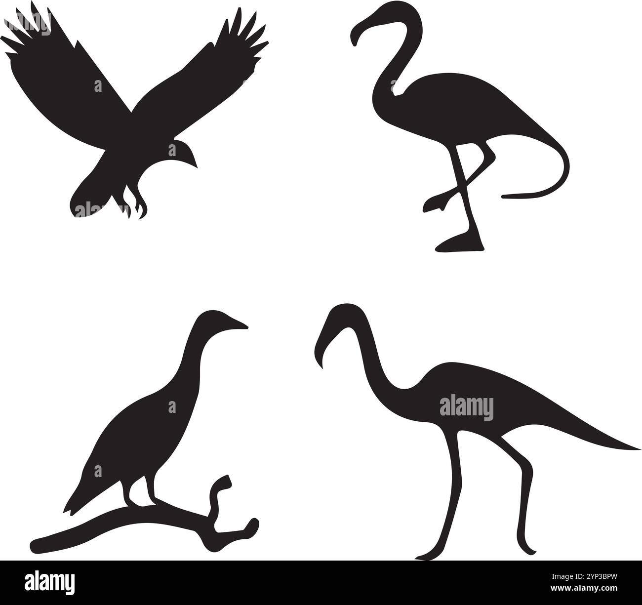Birds graceful silhouette hi-res stock photography and images - Alamy