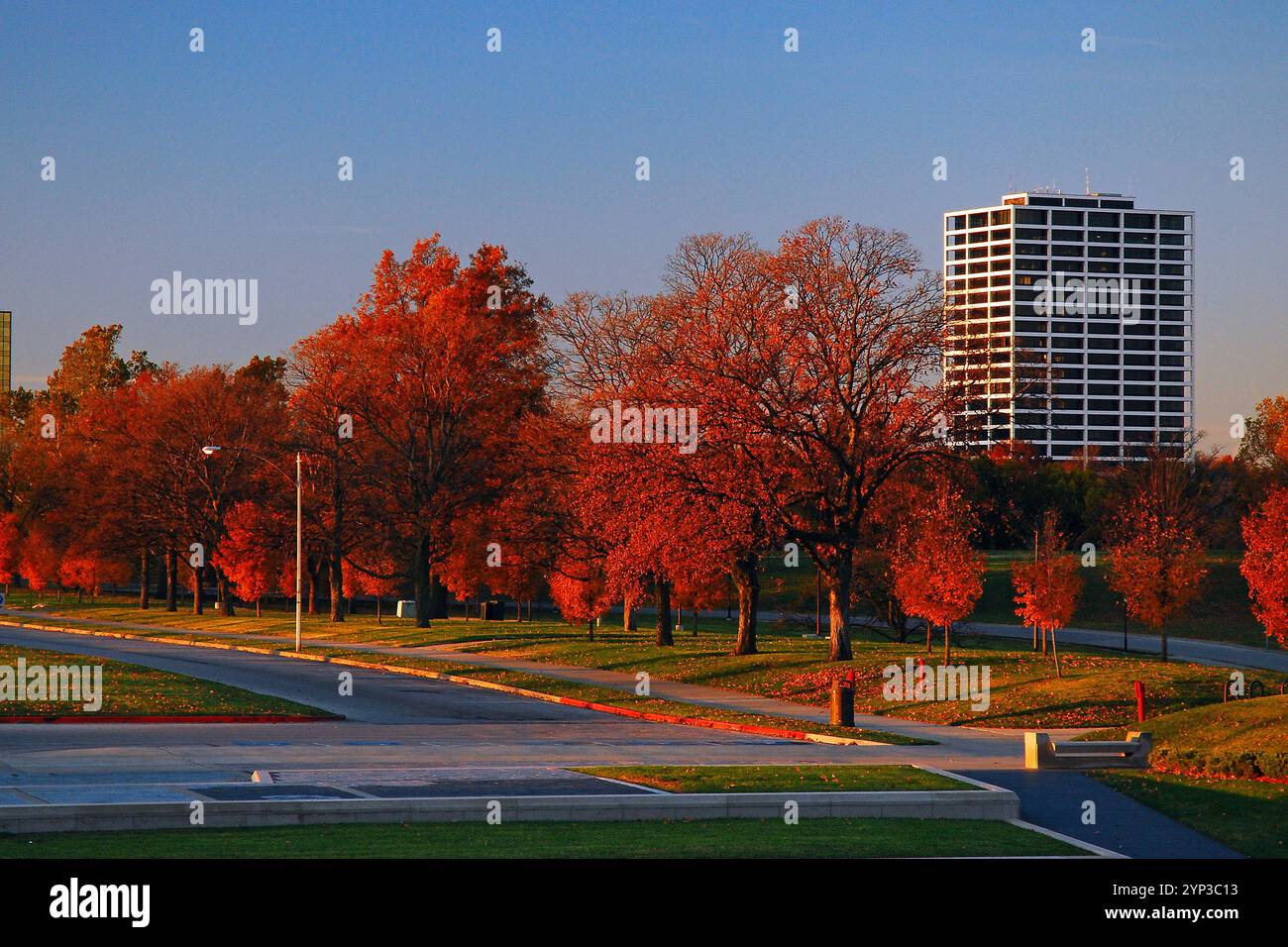 Autumn trees line the parking lot of a park in Kansas City Stock Photo ...