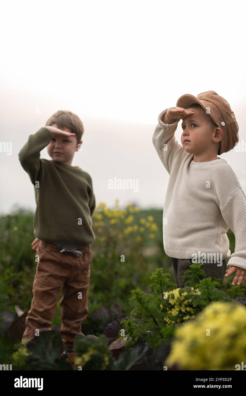 Suberbs hi-res stock photography and images - Alamy