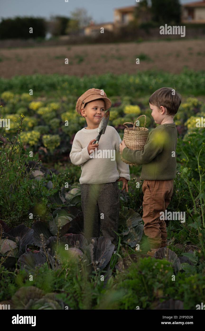 Suberbs hi-res stock photography and images - Alamy