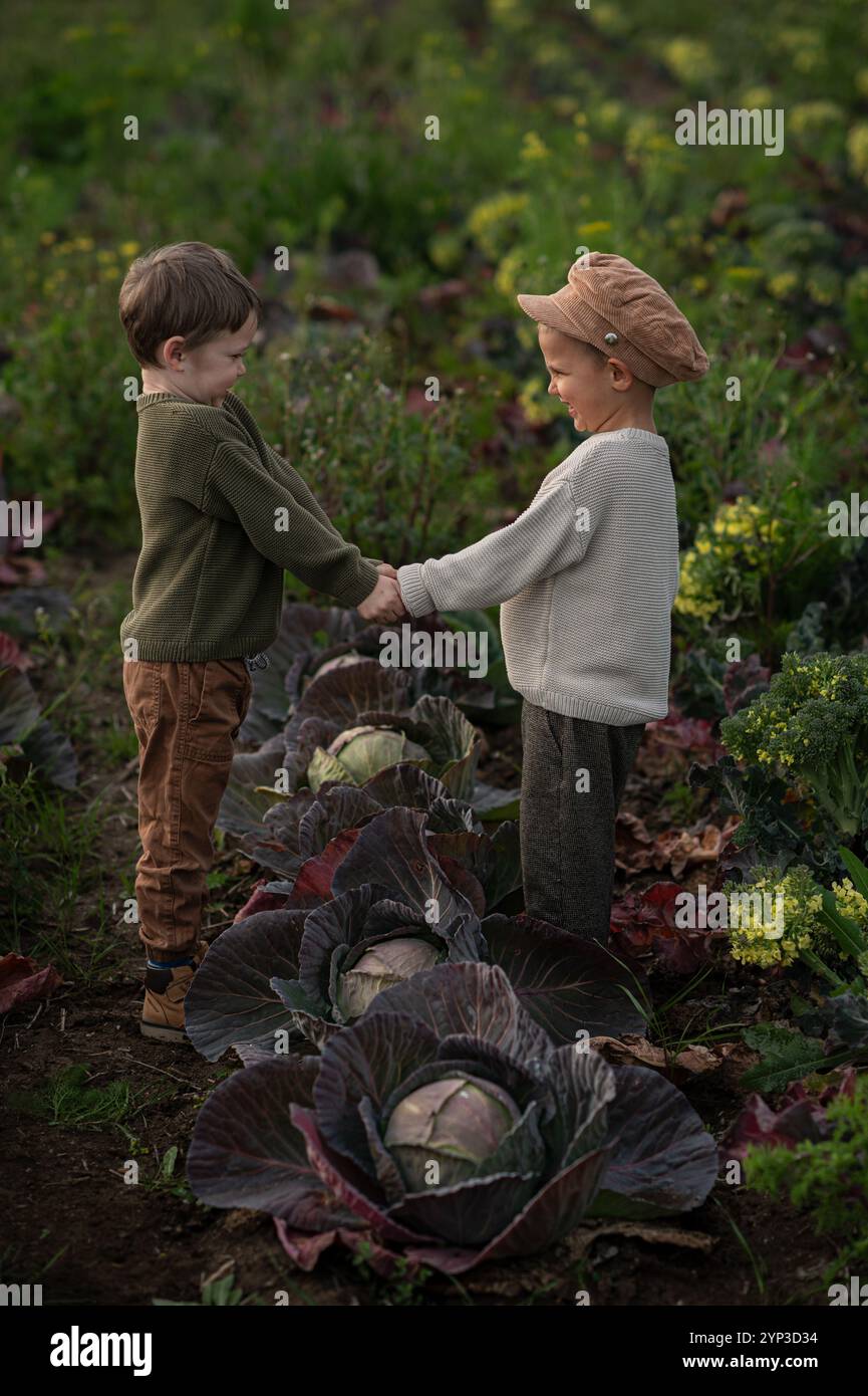 Suberbs hi-res stock photography and images - Alamy