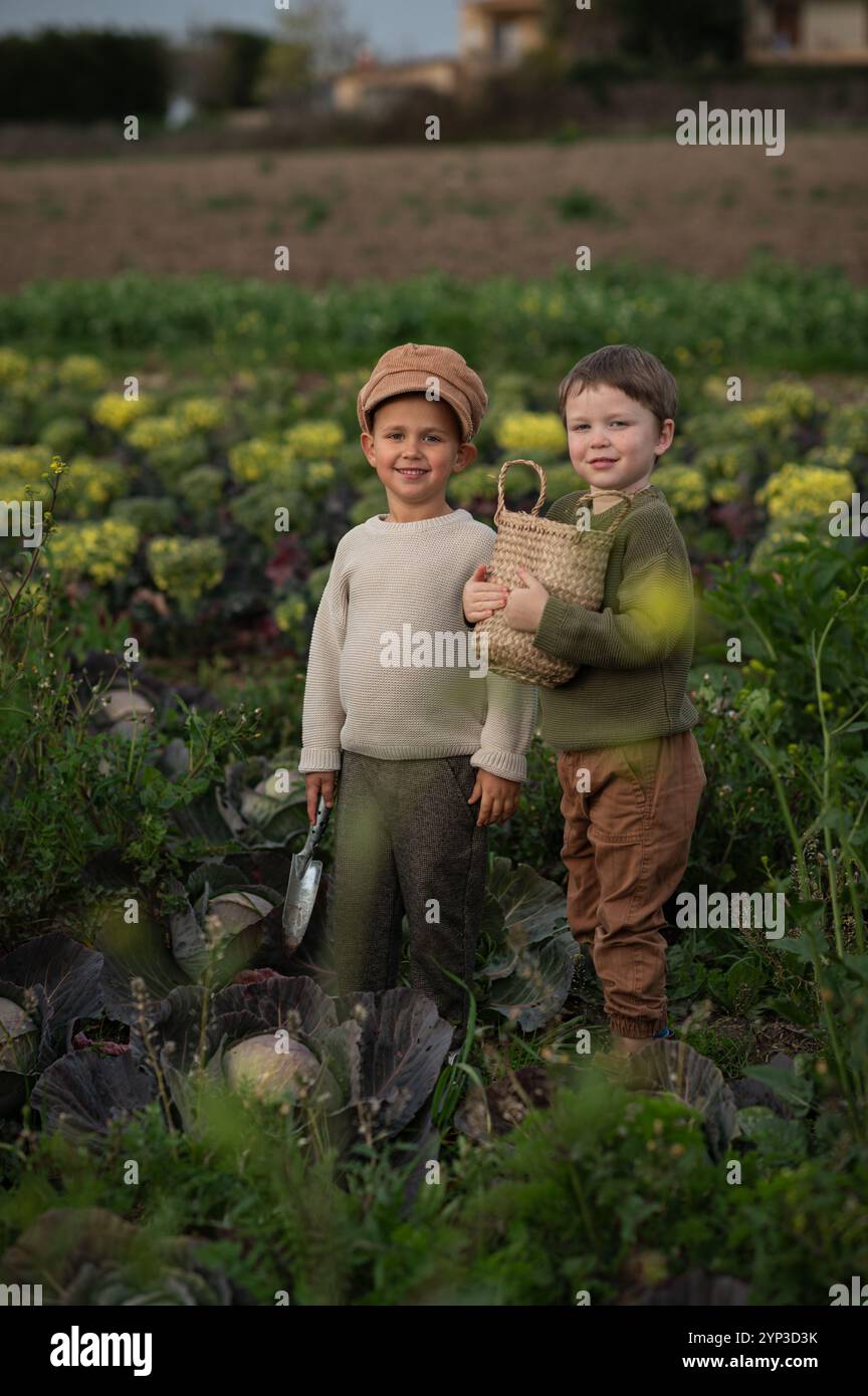 kids are on the field with cabbage on a suberbs Stock Photo - Alamy