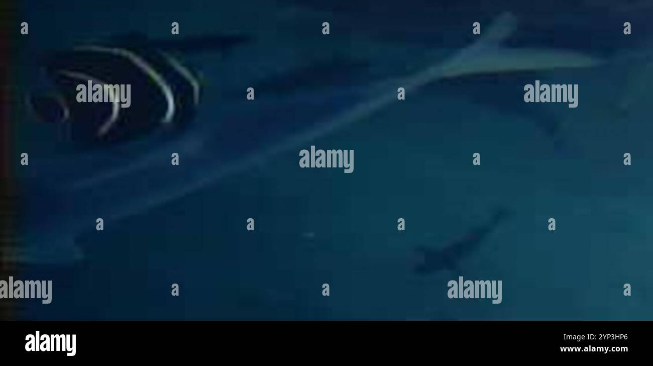 Ray-finned Fishes (Actinopterygii Stock Photo - Alamy