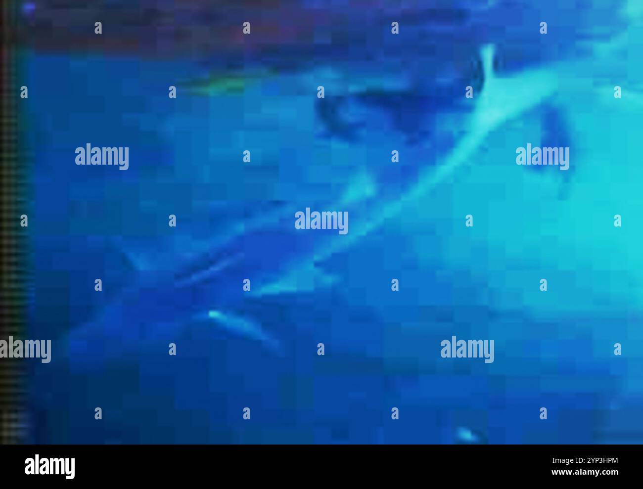 Ray-finned Fishes (Actinopterygii Stock Photo - Alamy