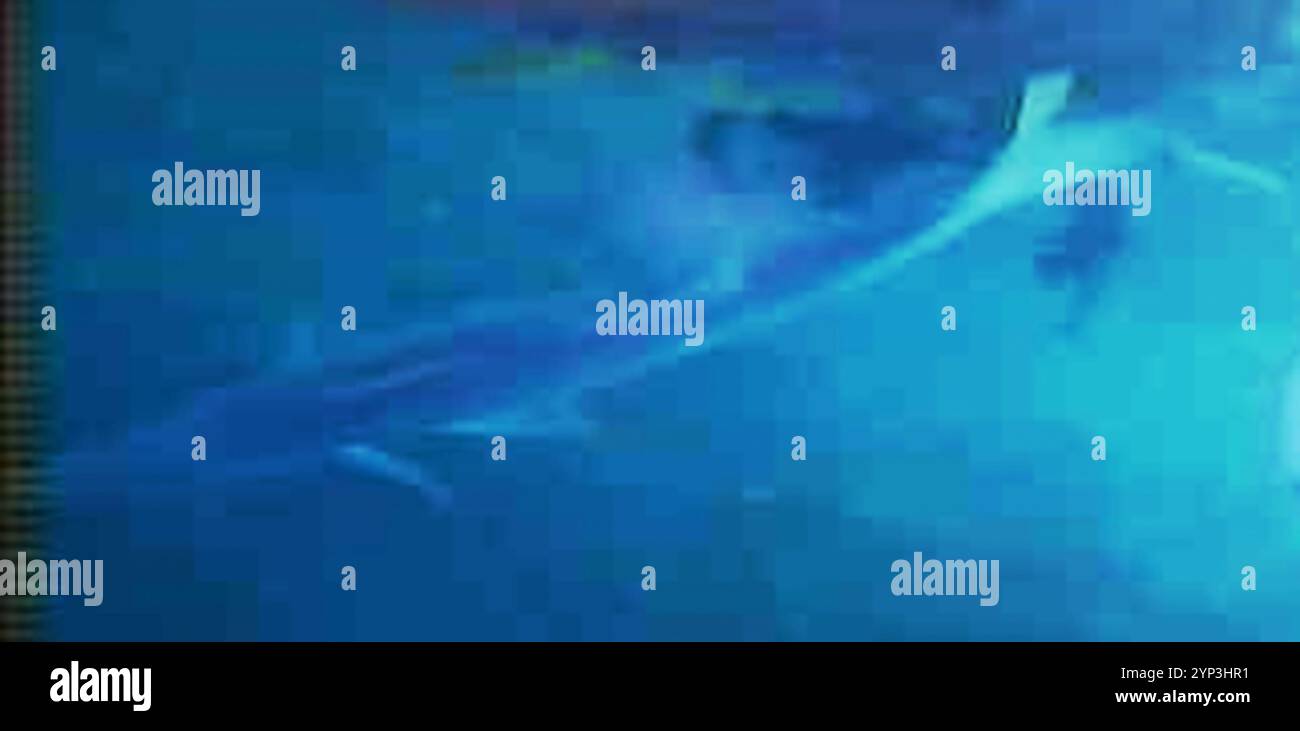 Ray-finned Fishes (Actinopterygii Stock Photo - Alamy