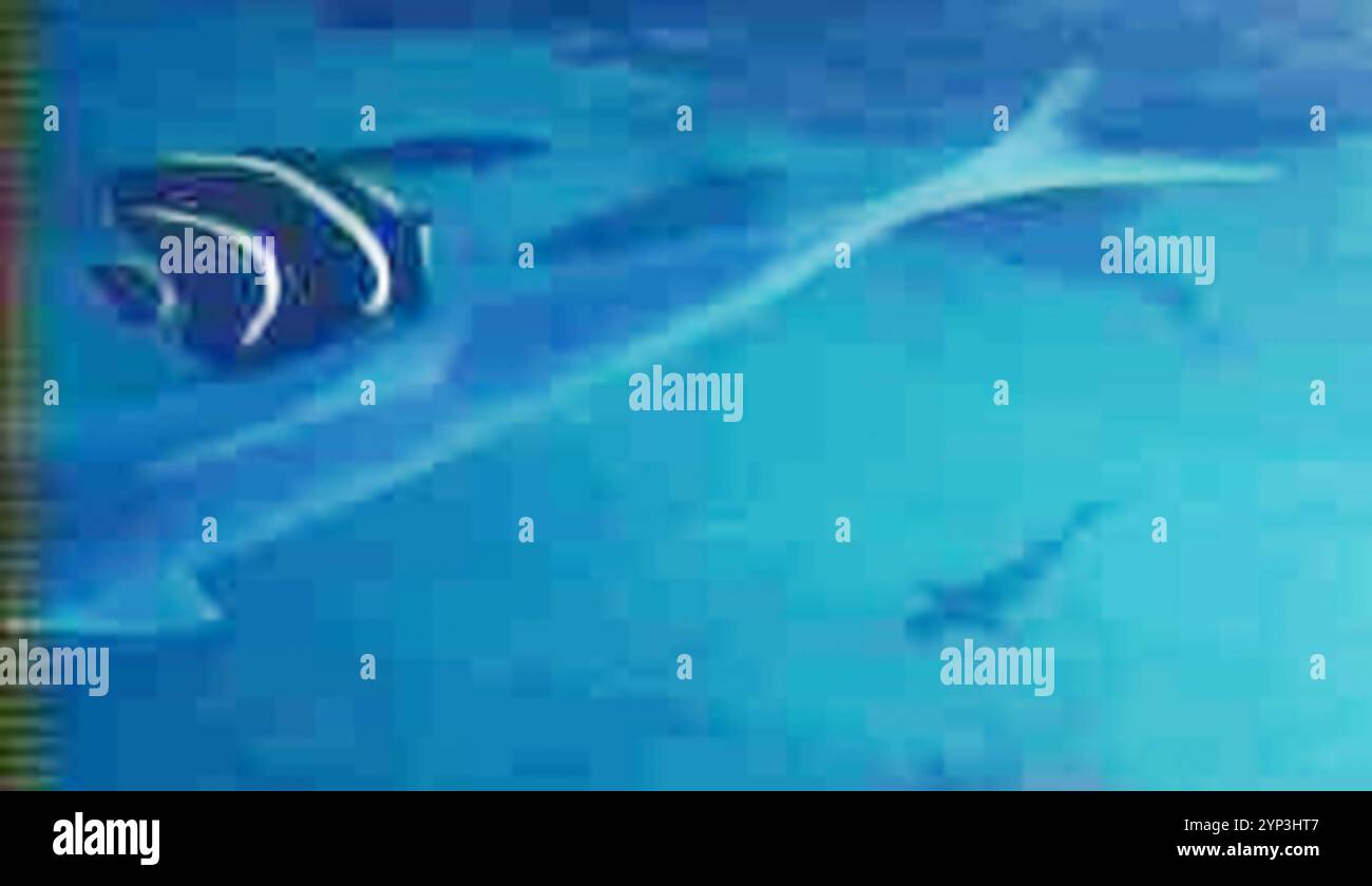 Ray-finned Fishes (Actinopterygii Stock Photo - Alamy