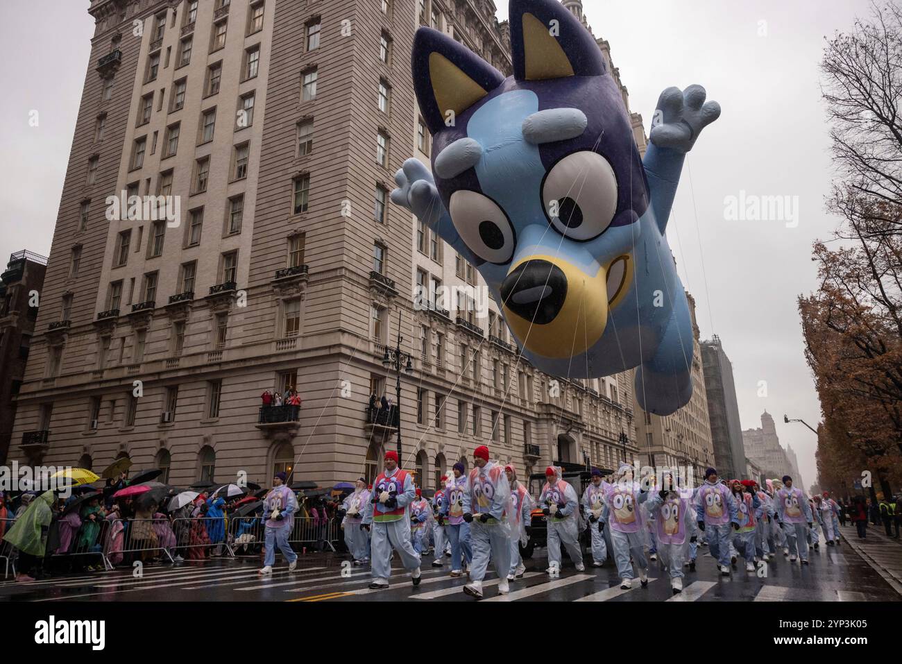 Bluey balloon floats by along Central Park West during the Macy's ...