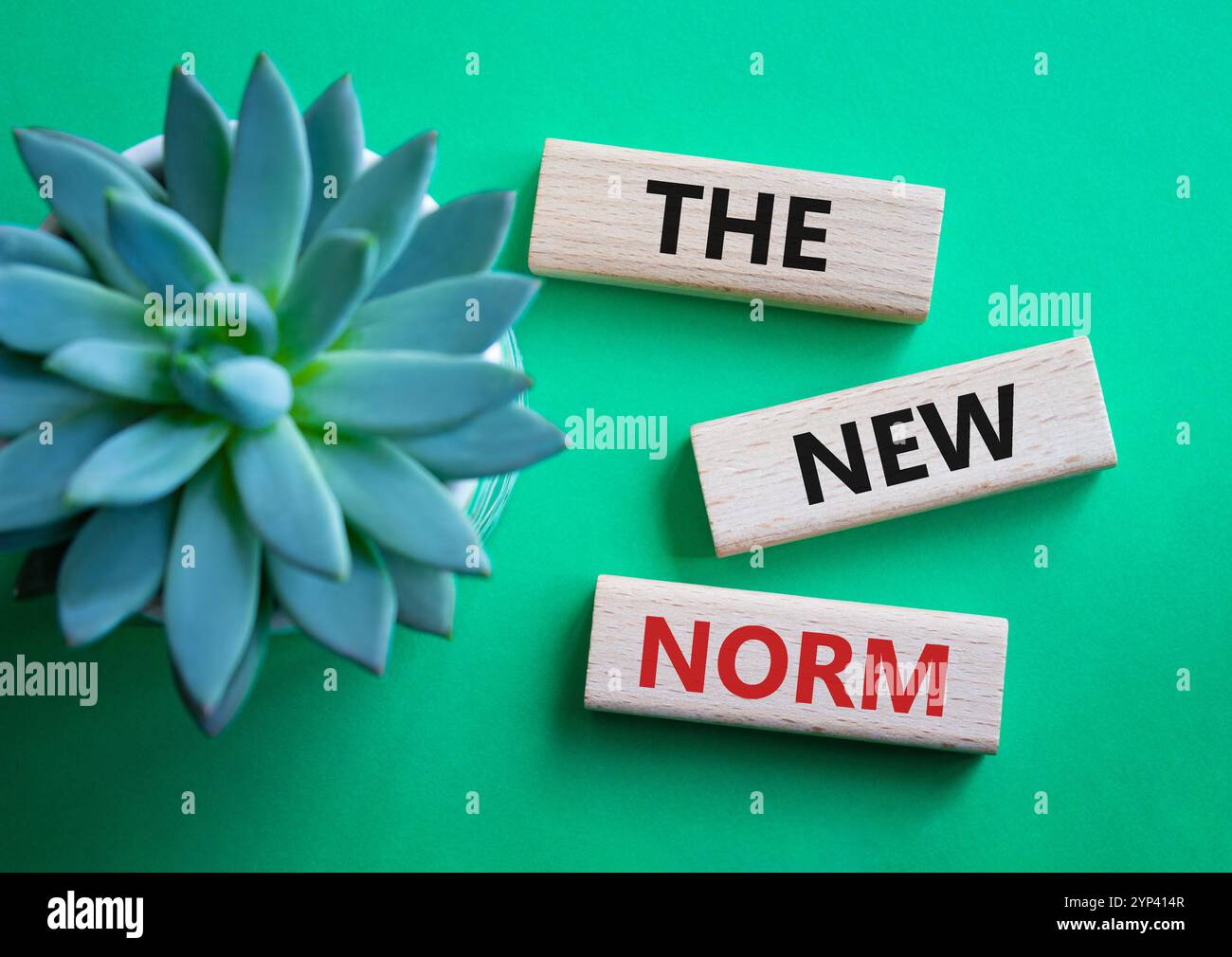 The new norm symbol. Concept words The new norm on wooden blocks ...