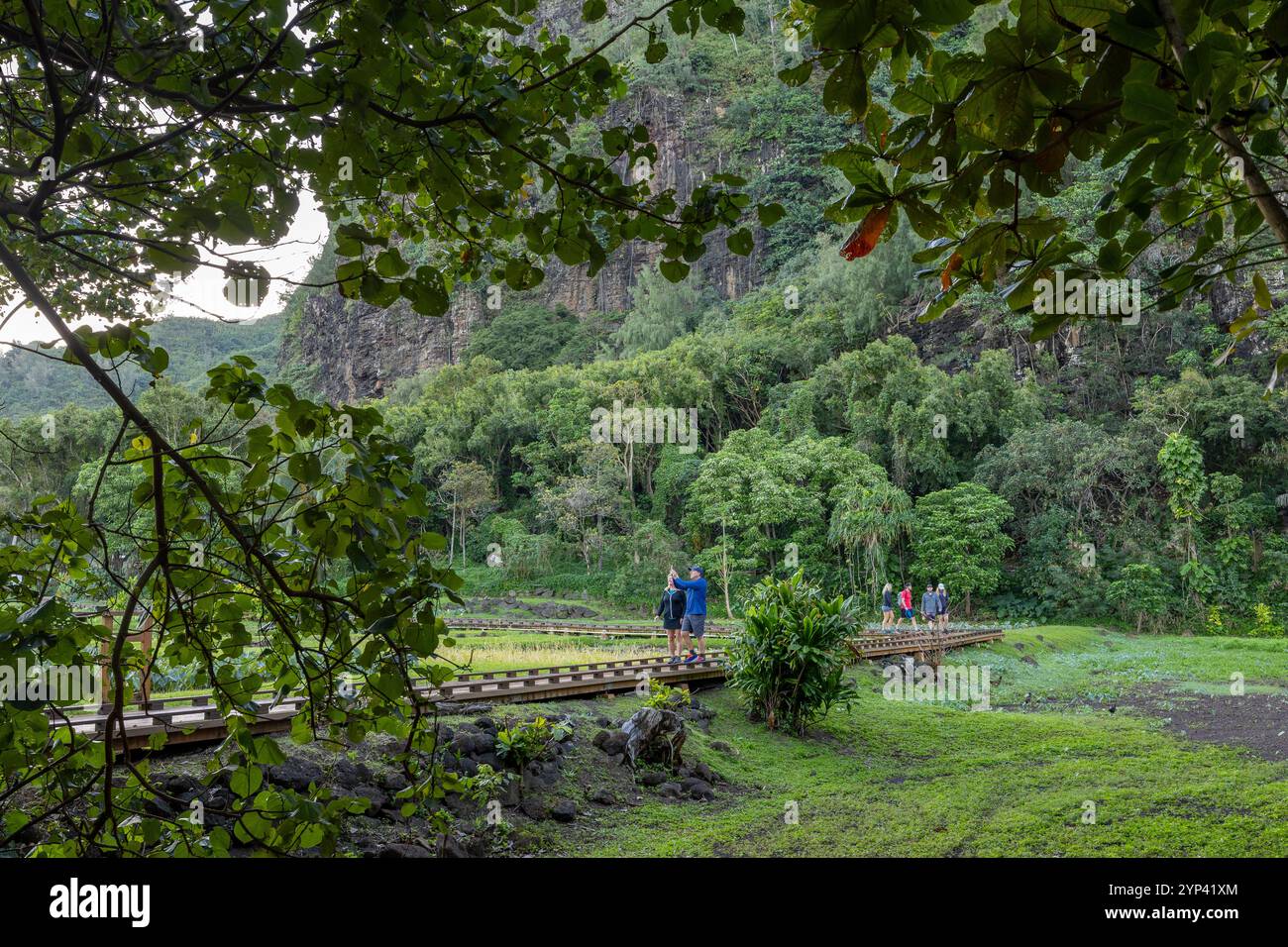 Haena State Park, Haena, , Kauai, Hawaii Stock Photo - Alamy