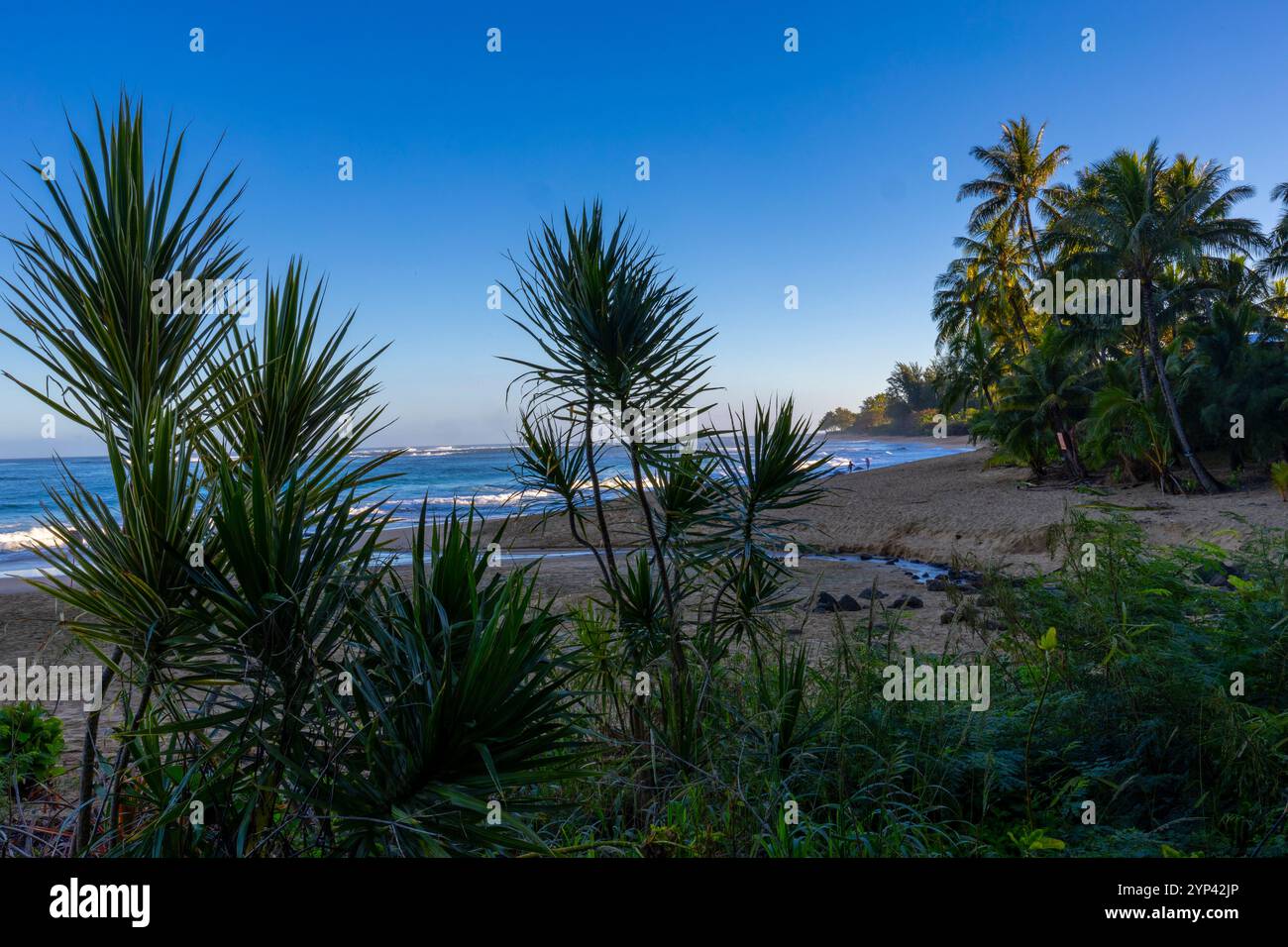 Haena Beach, Haena State Park, Haena, , Kauai, Hawaii Stock Photo - Alamy