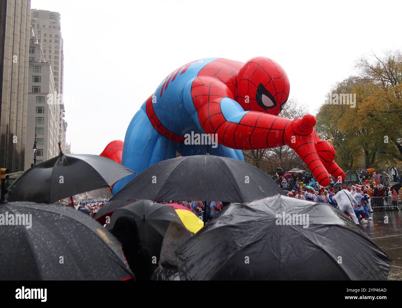 New York, United States. 27th Nov, 2024. The Spider-Man balloon floats ...