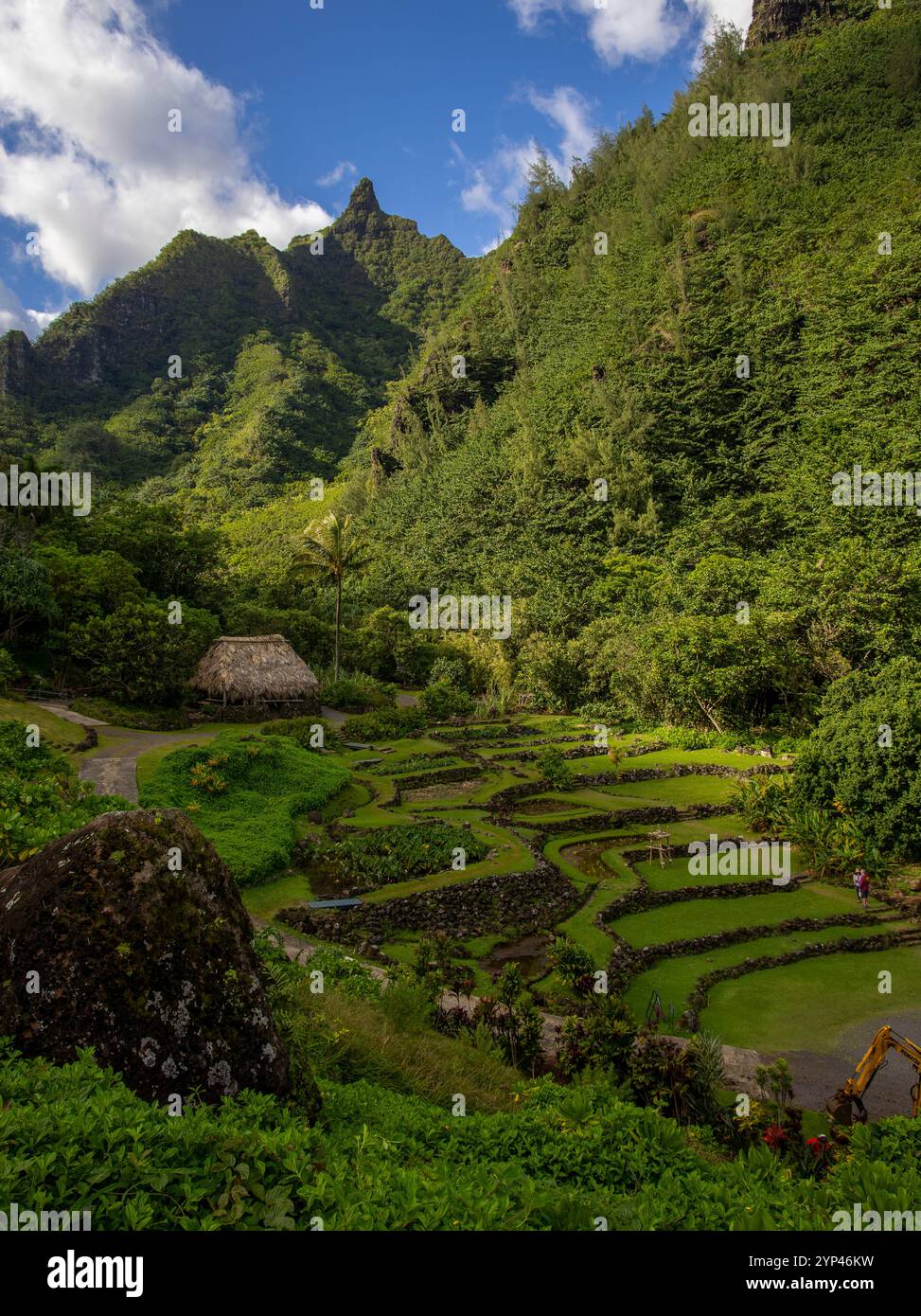 Limahuli Garden and Preserve, Haena, Kauai, Hawaii Stock Photo - Alamy