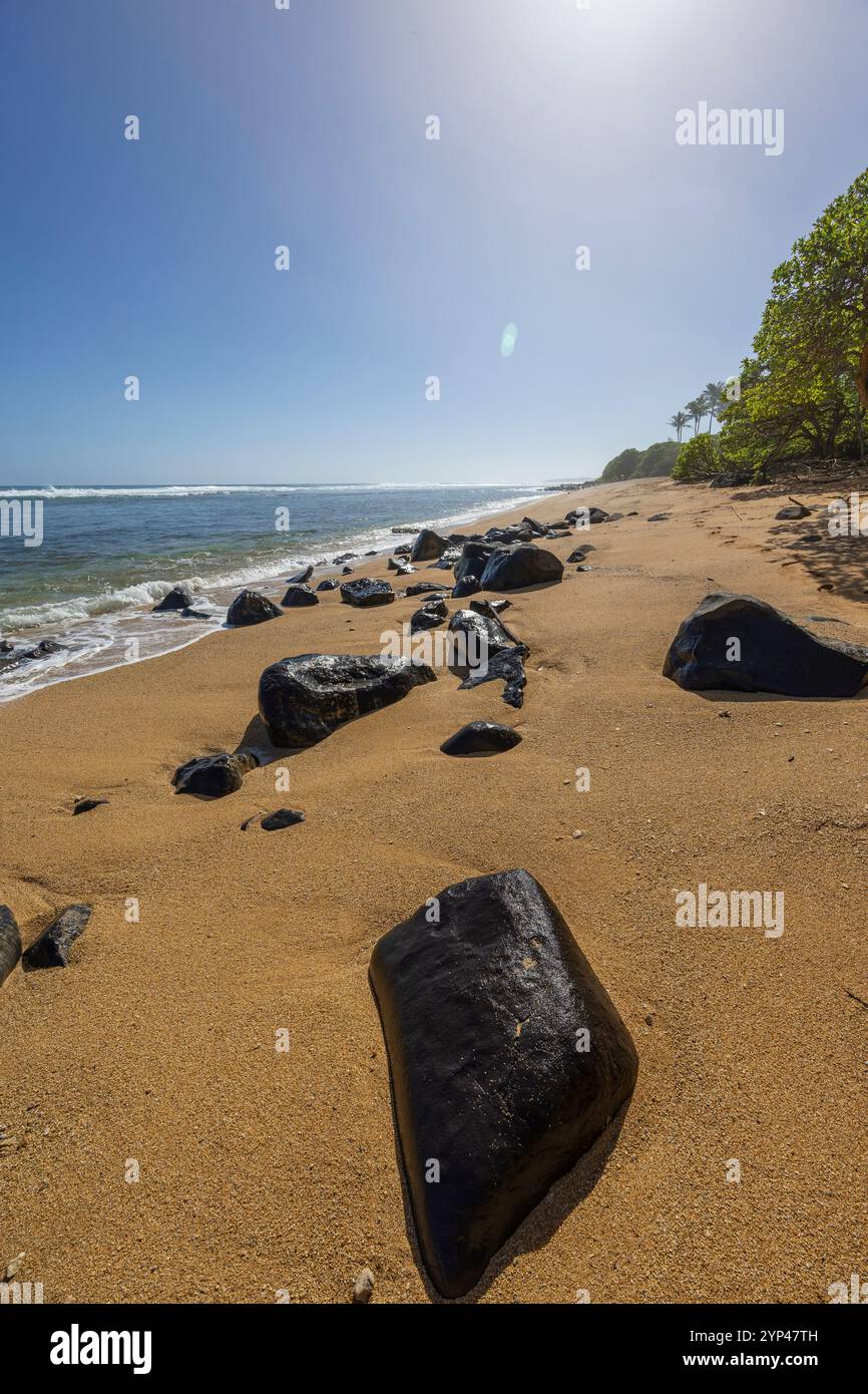Kaakaaniu hi-res stock photography and images - Alamy