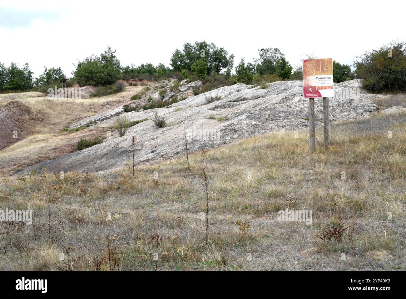 Tenadas de Costalomo, limestone with dinosaur ichnites (Cretaceous ...