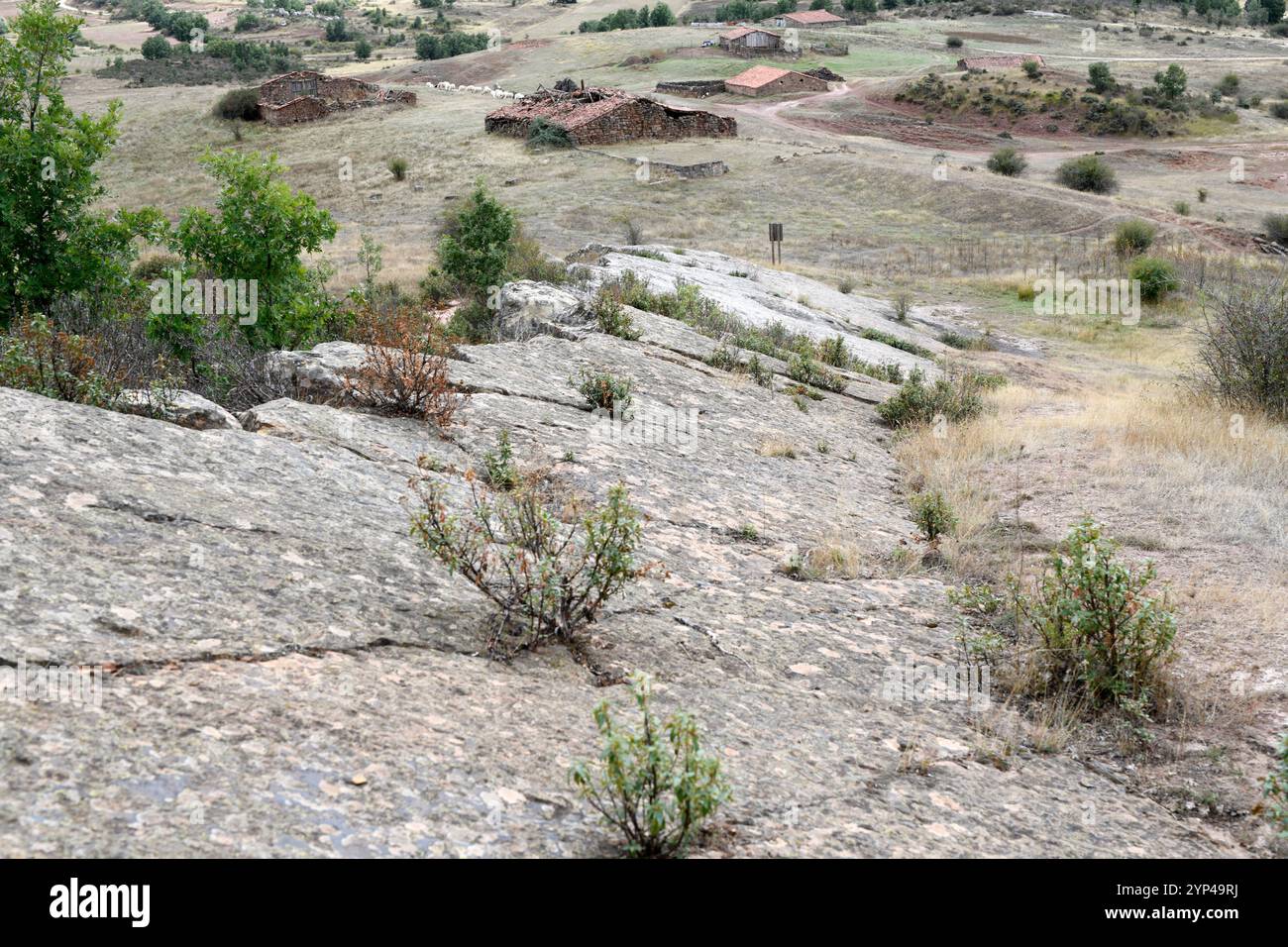 Tenadas de Costalomo, limestone with dinosaur ichnites (Cretaceous ...