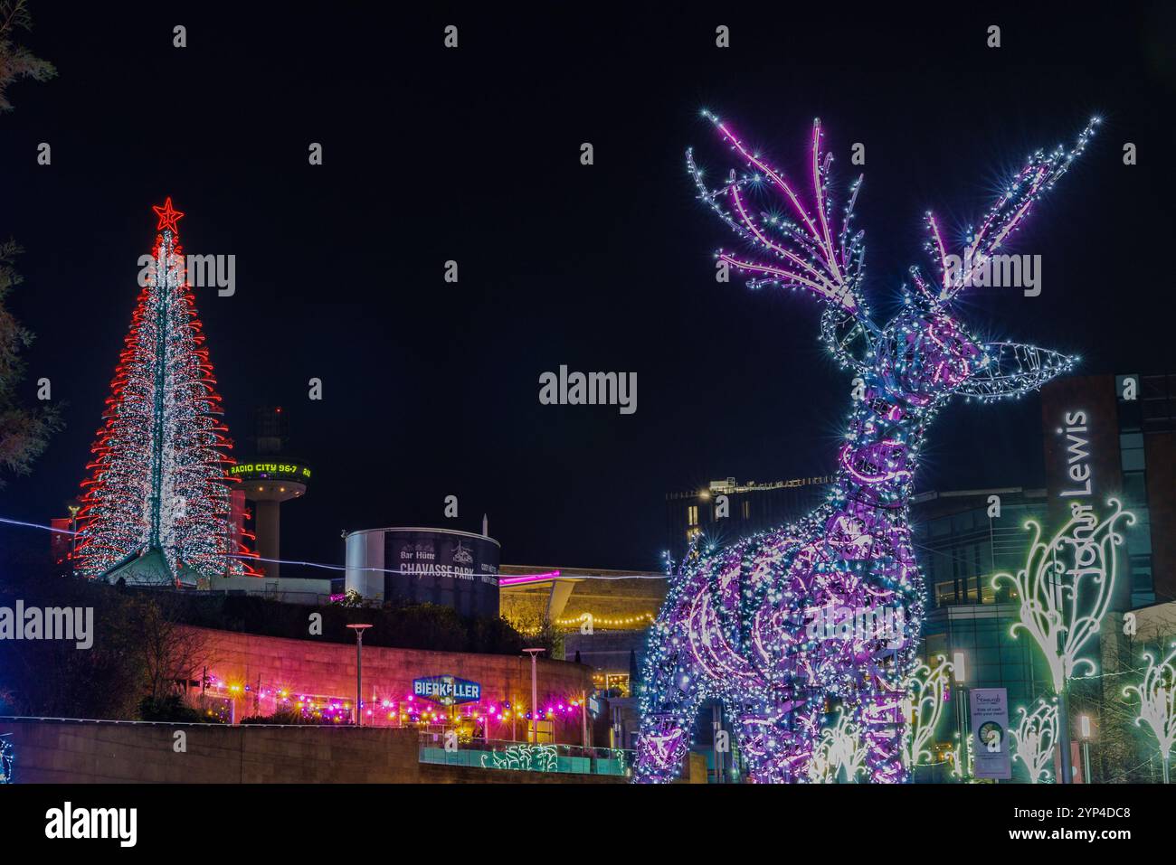 A vibrant night scene showcasing the Christmas lights display in ...