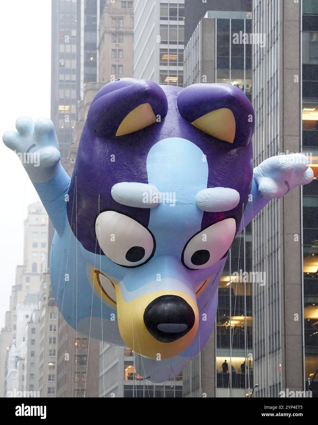 Bluey, Balloon out and about for Macy's Thanksgiving Day Parade ...