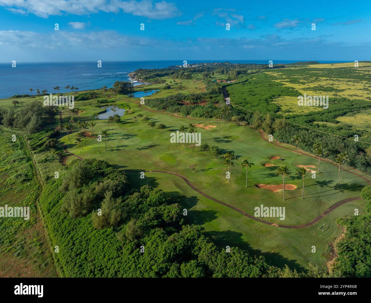 Grand Hyatt, Golf Course, Poipu, Kauai, Hawaii Stock Photo - Alamy