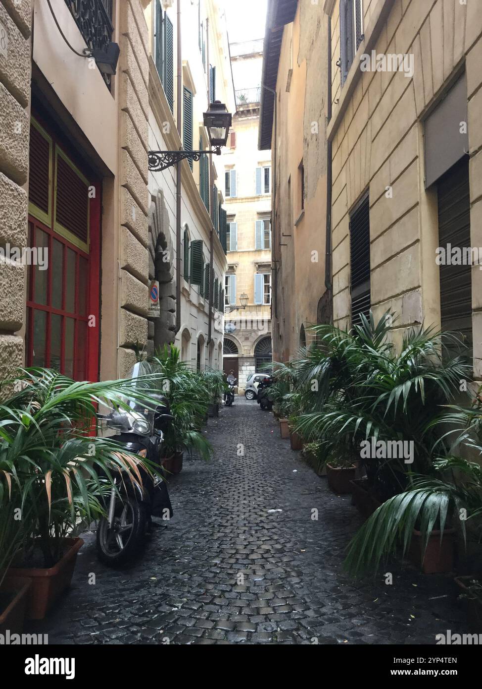A charming alley in Rome features cobblestone pathways lined with lush ...