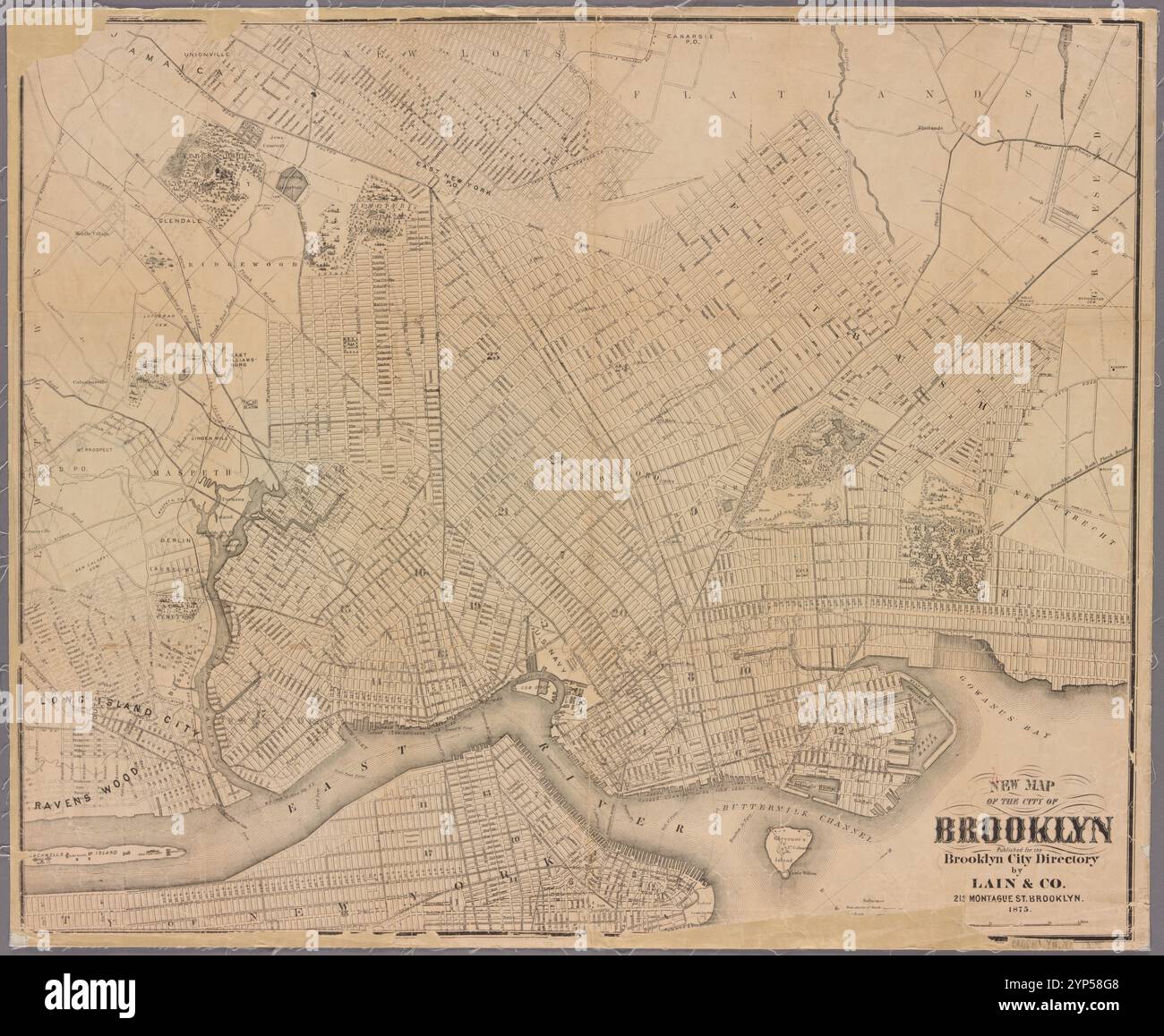 New map of the city of Brooklyn: published for the Brooklyn City ...