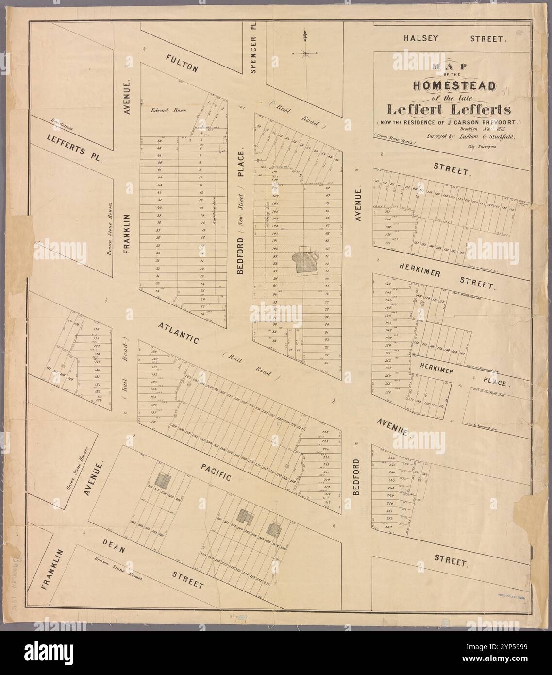 Map of the homestead of the late Leffert Lefferts: now the residence of ...
