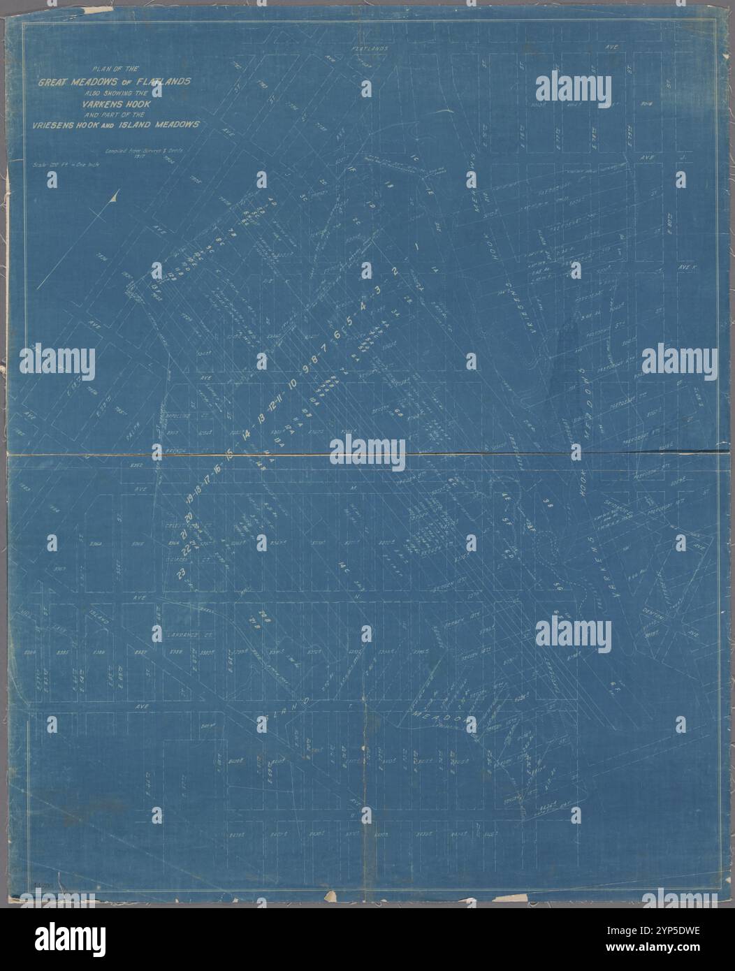 Plan of the great meadows of Flatlands also showing the Varkens Hook ...