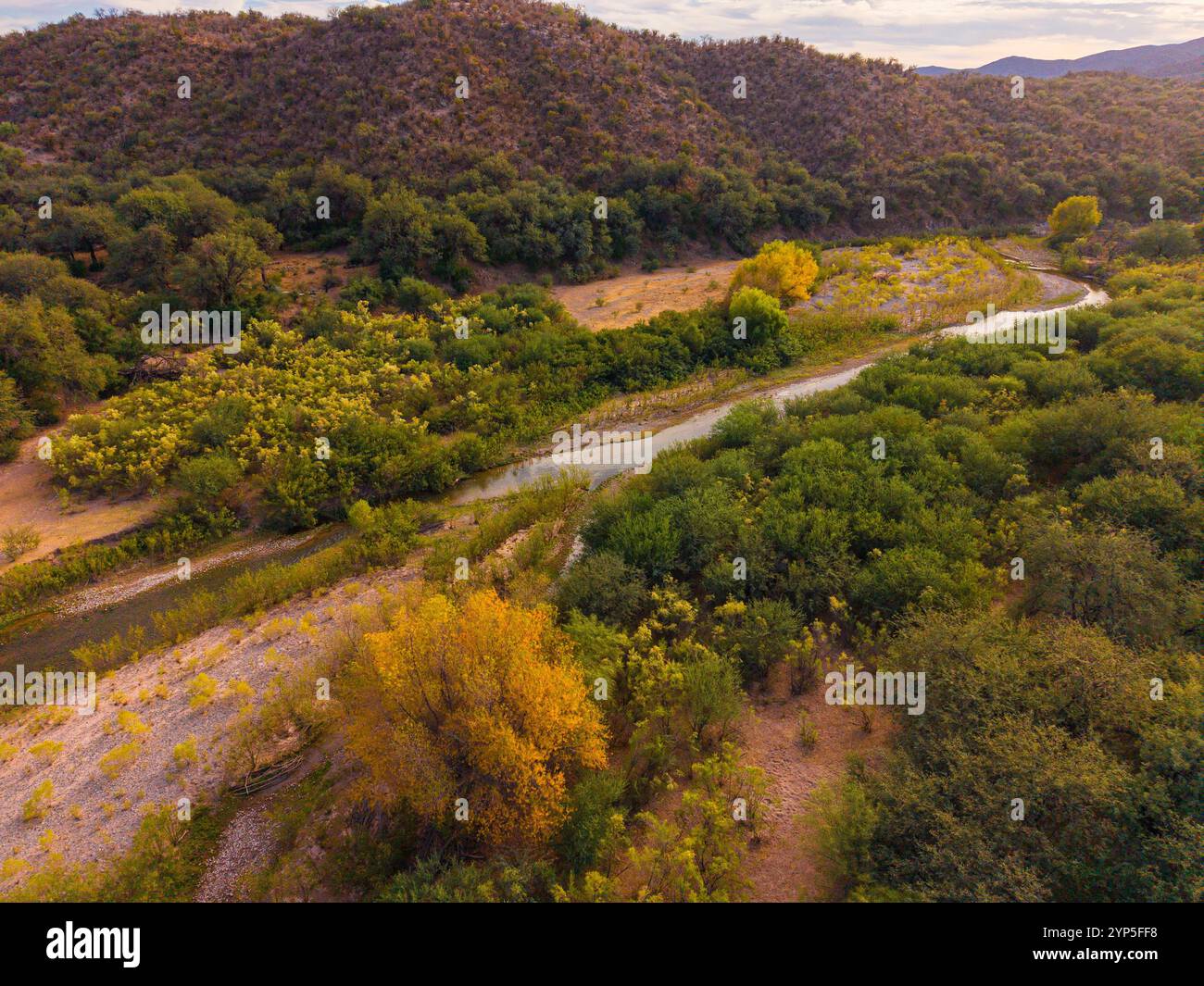 Landscape of the pass of the Rio Sonora , river in the rural area ...