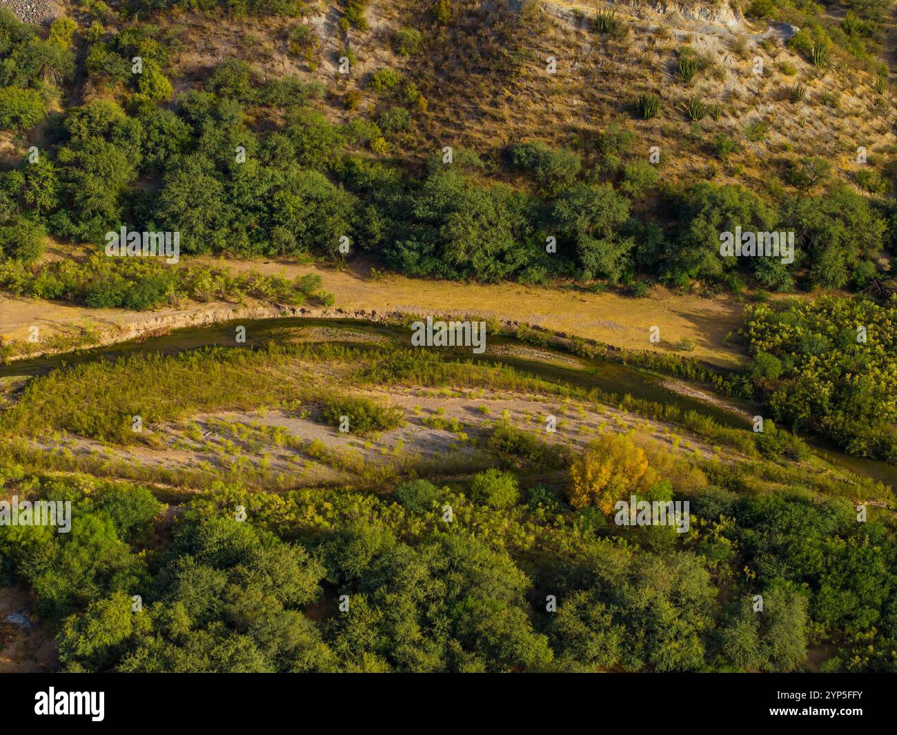 Landscape of the pass of the Rio Sonora , river in the rural area ...