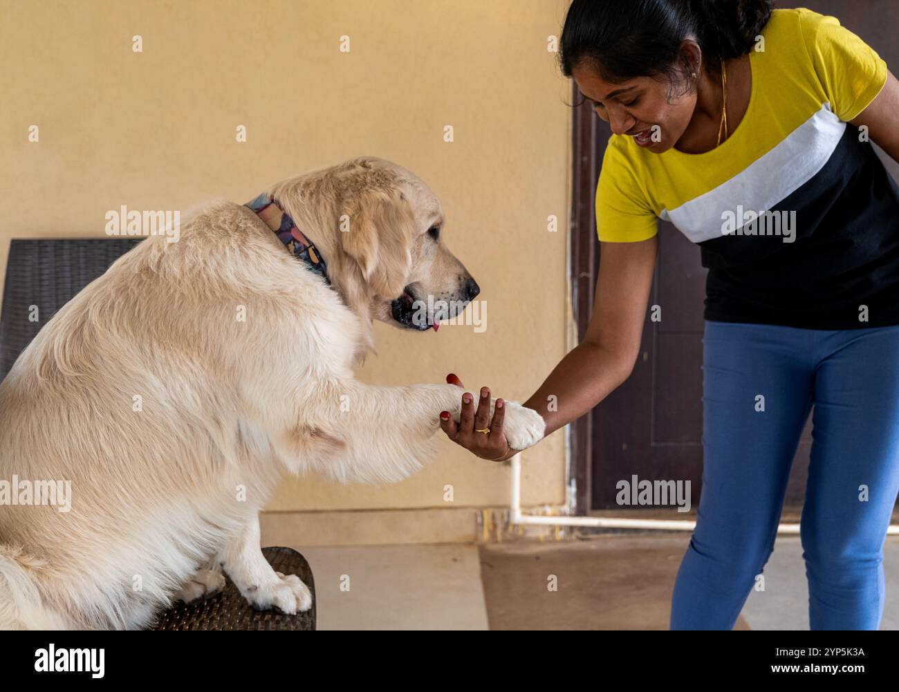 A heartwarming moment of friendship as a woman shares a gentle pawshake ...