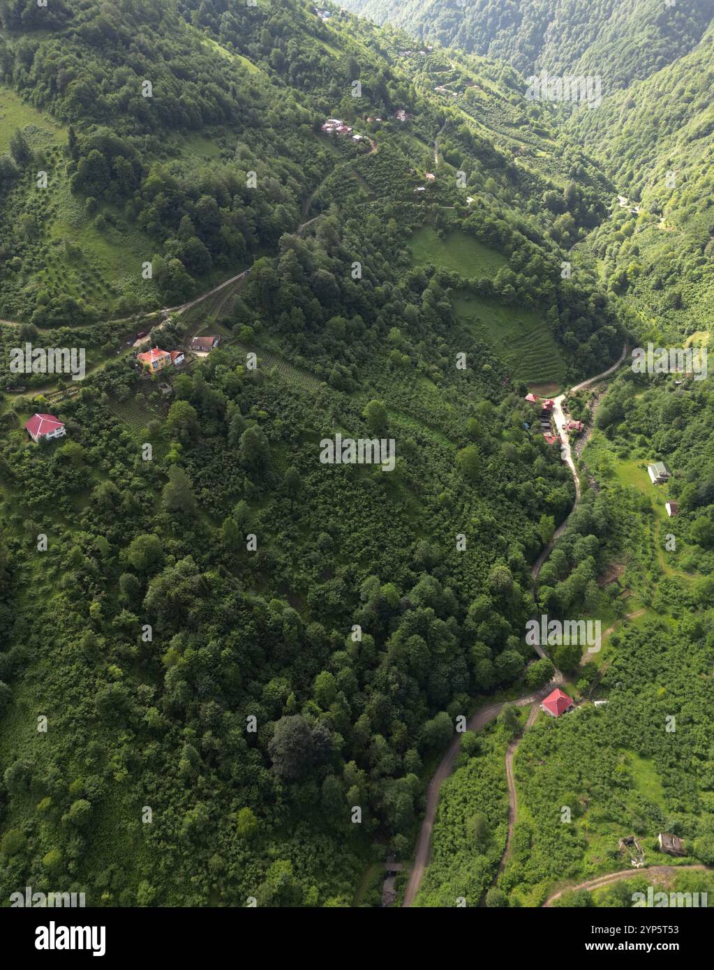 Trabzon forest hi-res stock photography and images - Alamy