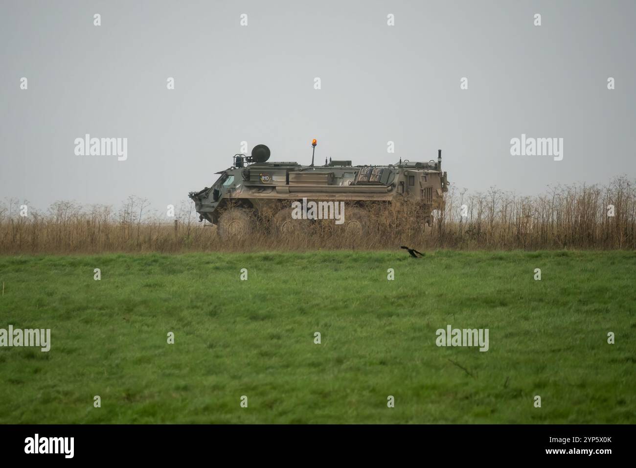 British army Patria Pasi Fuchs (Falcon Squadron) armoured 6x6 vehicle ...