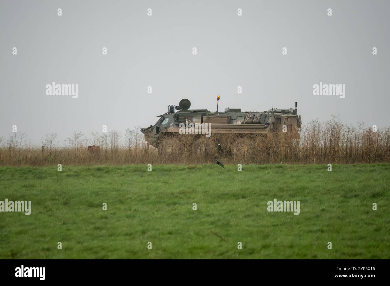 British army Patria Pasi Fuchs (Falcon Squadron) armoured 6x6 vehicle ...