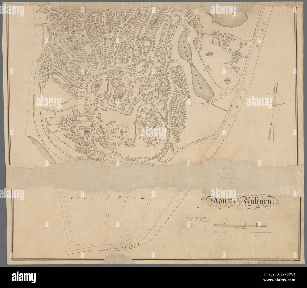 Mount auburn cemetery cambridge hi-res stock photography and images - Alamy