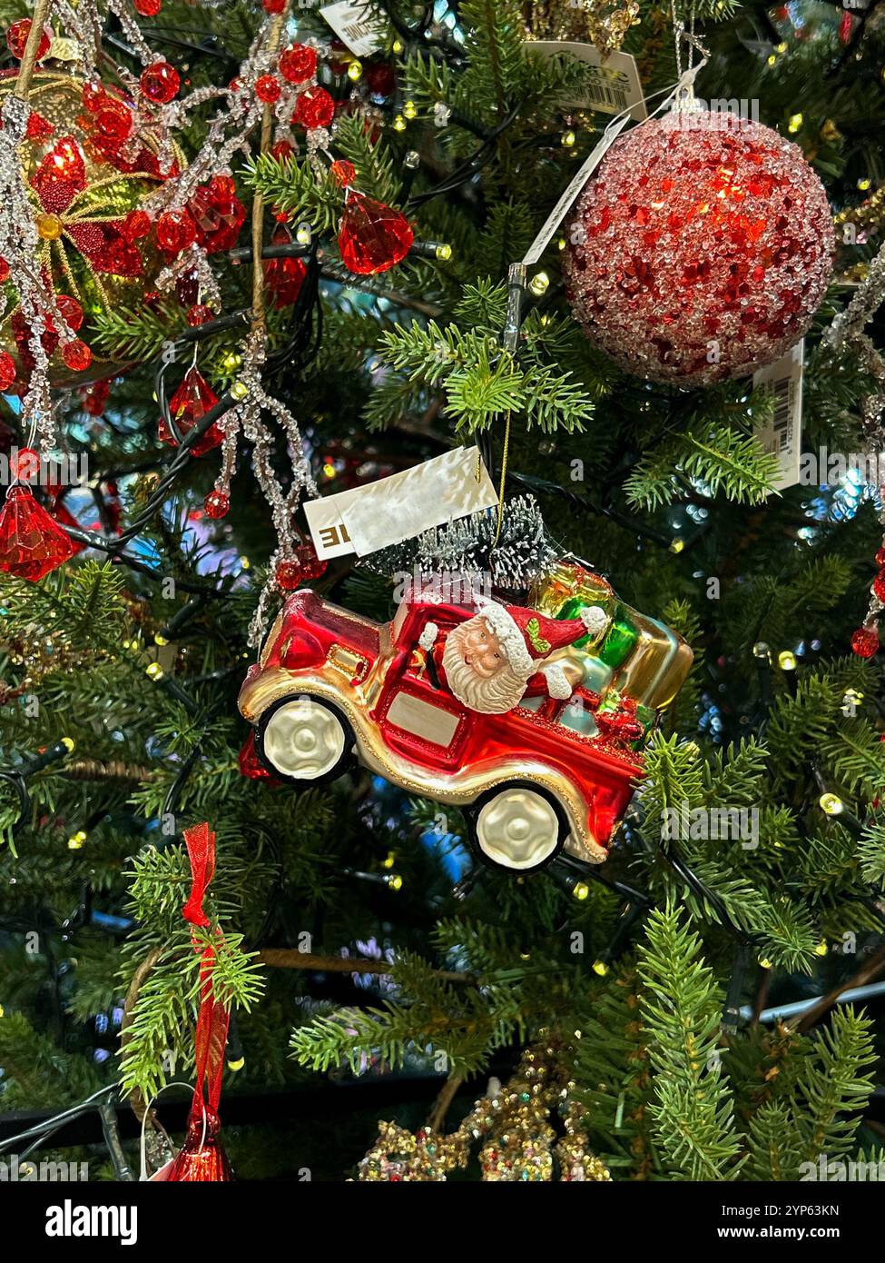 Cheer pine hi-res stock photography and images - Alamy