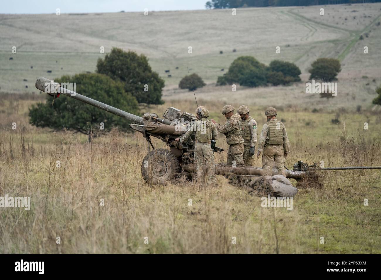 soldiers prepare a 105mm Light Artillery Gun ina field Stock Photo - Alamy