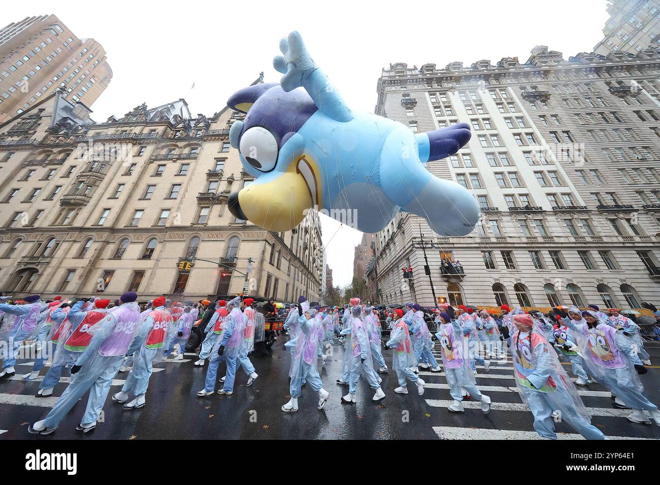 The Bluey heads down during The 98th Macy's Thanksgiving Day Parade in ...