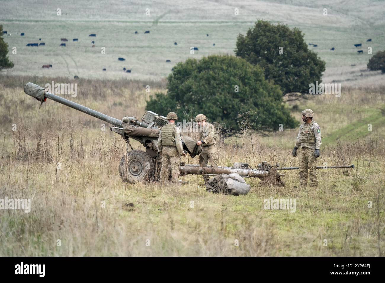 soldiers prepare a 105mm Light Artillery Gun ina field Stock Photo - Alamy
