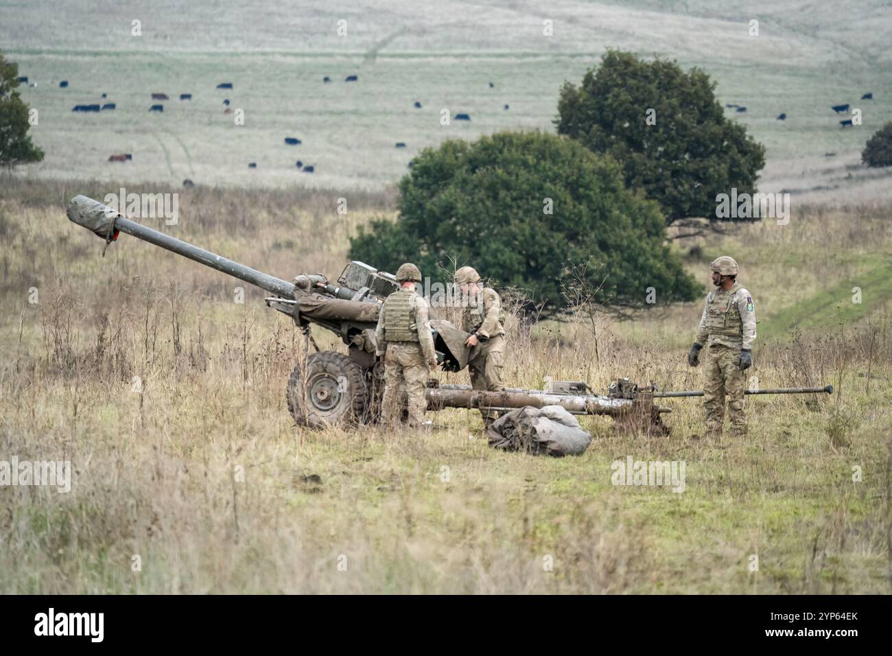 soldiers prepare a 105mm Light Artillery Gun ina field Stock Photo - Alamy