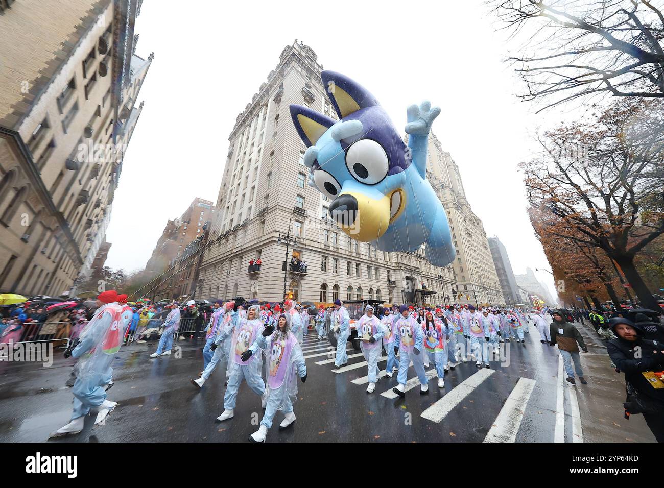 The Bluey heads down during The 98th Macy's Thanksgiving Day Parade in ...